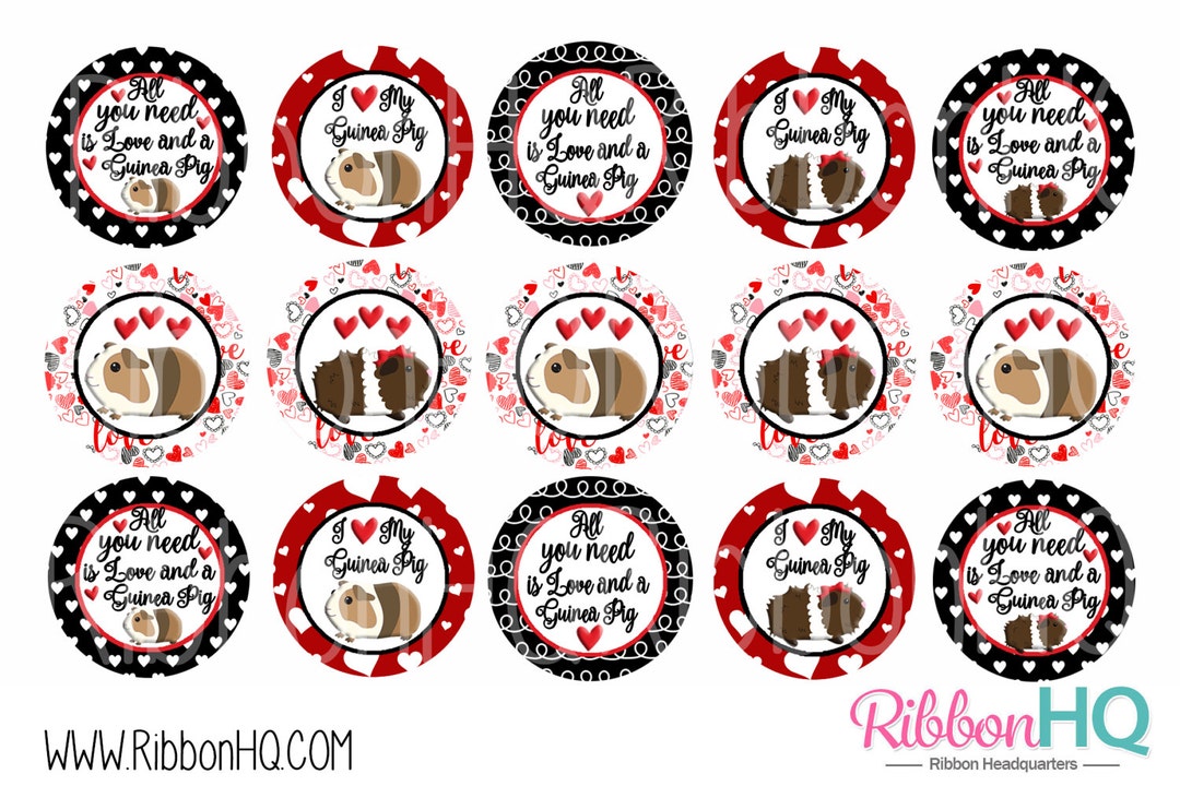 All You Need is Love and a Guinea Pig- Printable Images- Valentines ...