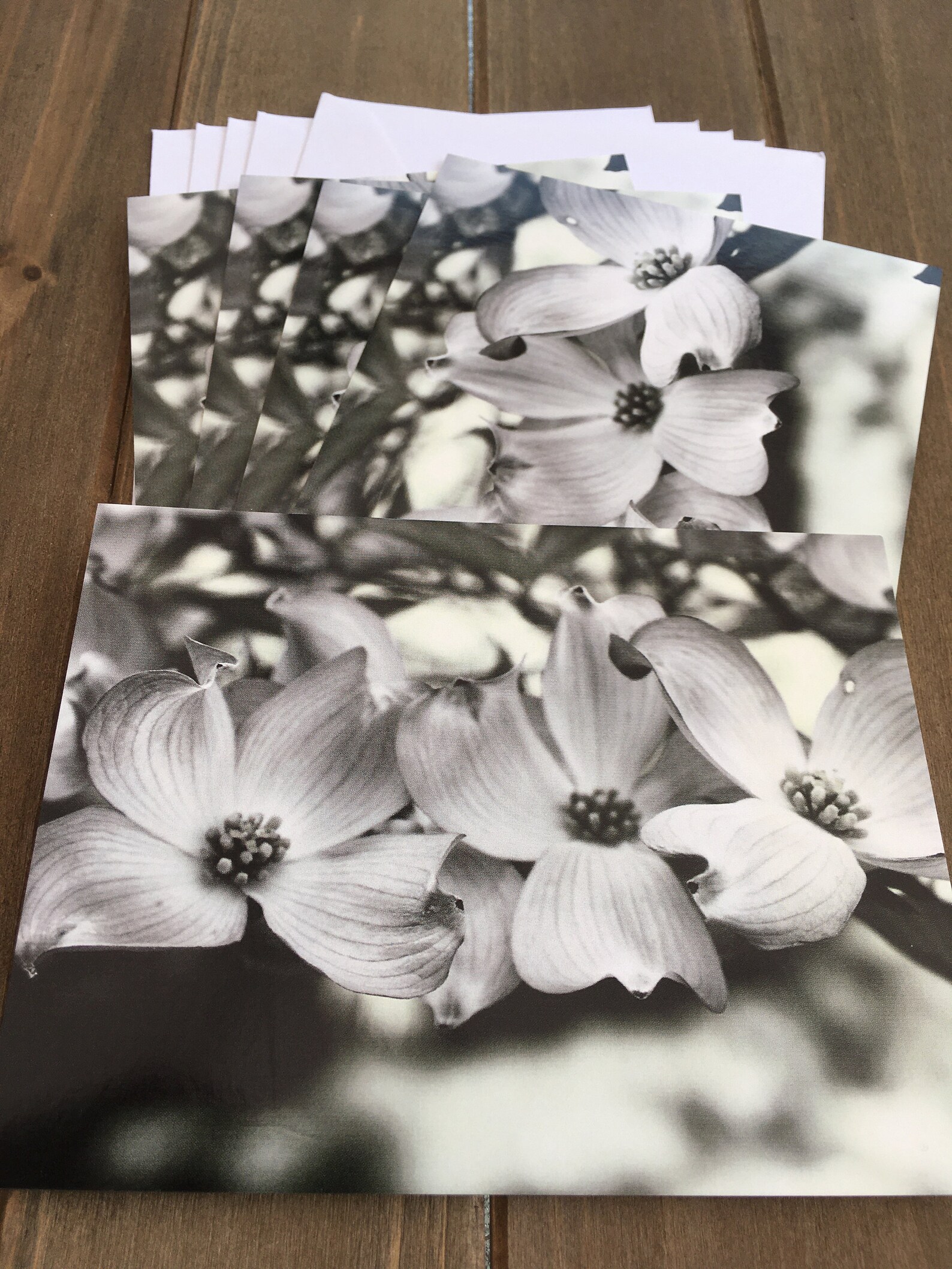 Flower Note Cards, Flat Note Cards, Black and White Card, Flat Cards ...