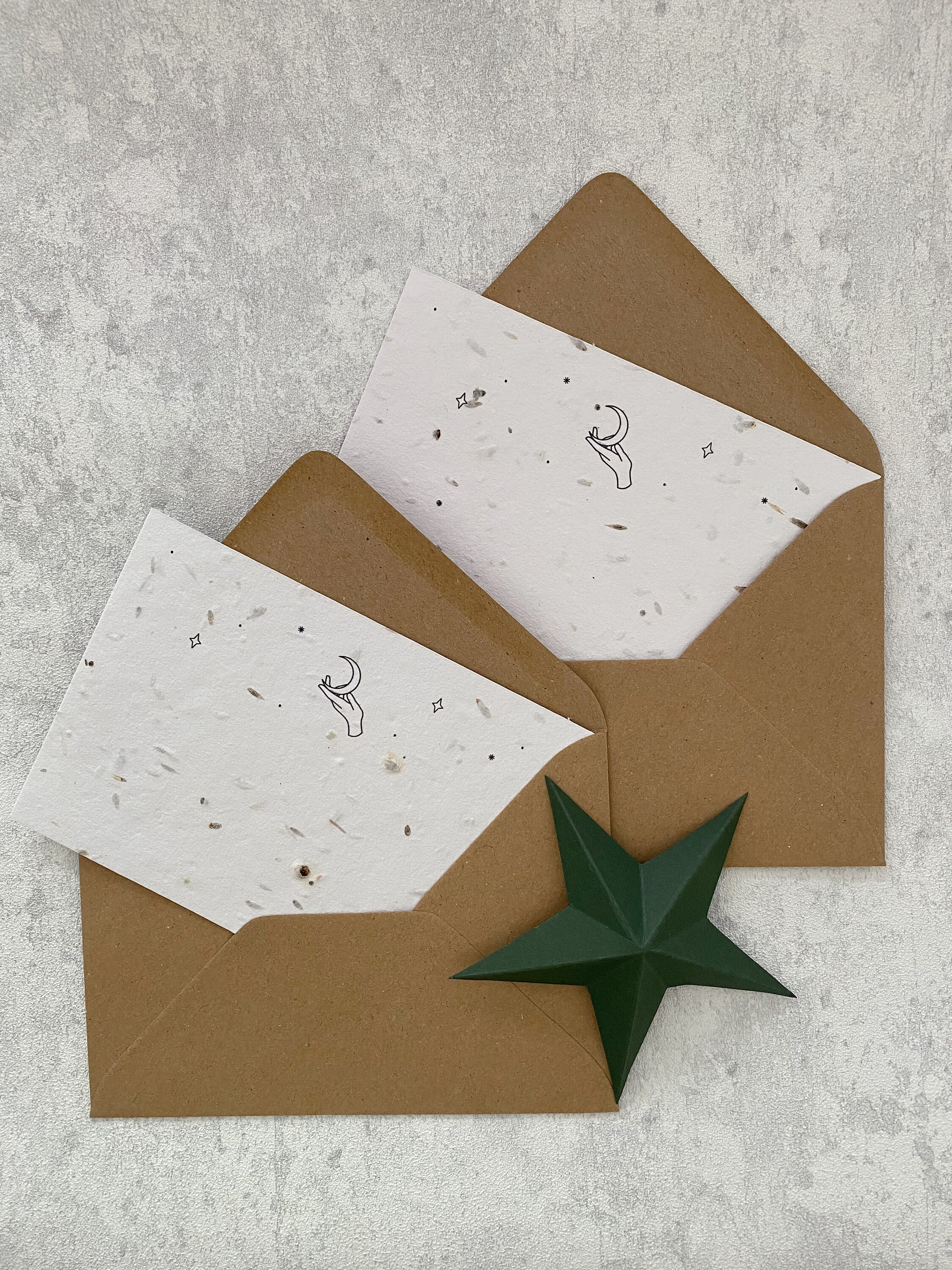 Plantable Postcards Seeded Cards Flower Card Social - Etsy