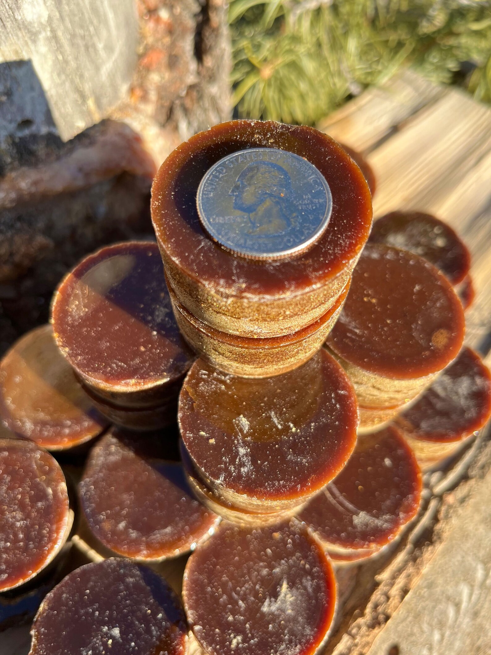 Piñon Pine Sap/resin Pre-strained Wild Harvested in New - Etsy