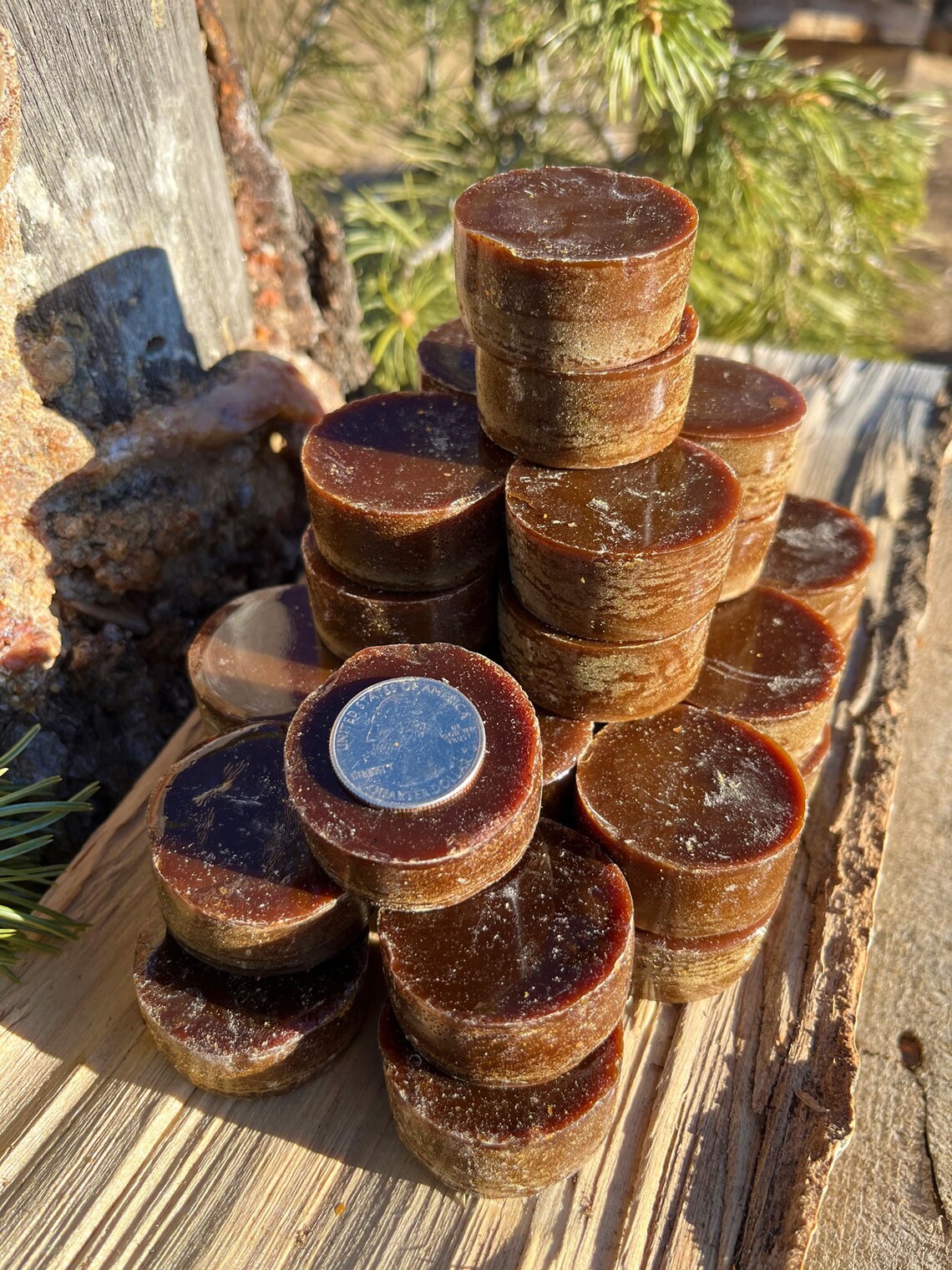 Piñon Pine Sap/resin Pre-strained Wild Harvested in New - Etsy
