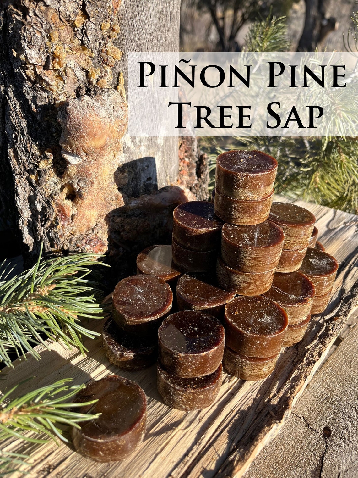 Piñon Pine Sap/resin Pre-strained Wild Harvested in New - Etsy