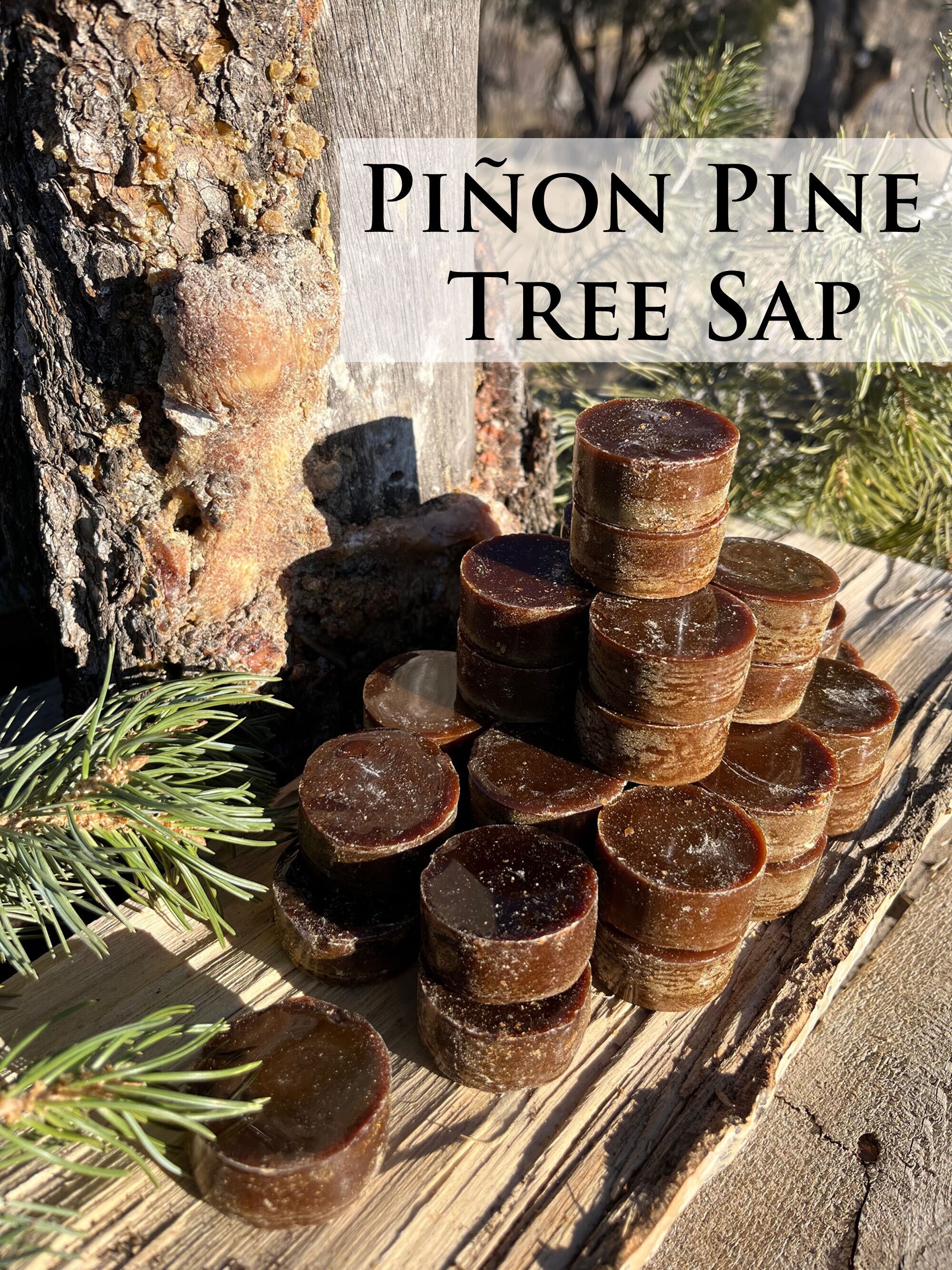 Piñon Pine Sap/resin Pre-strained Wild Harvested in New - Etsy