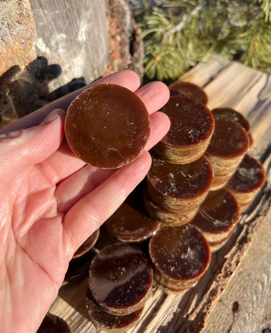 Piñon Pine Sap/resin Pre-strained Wild Harvested in New - Etsy