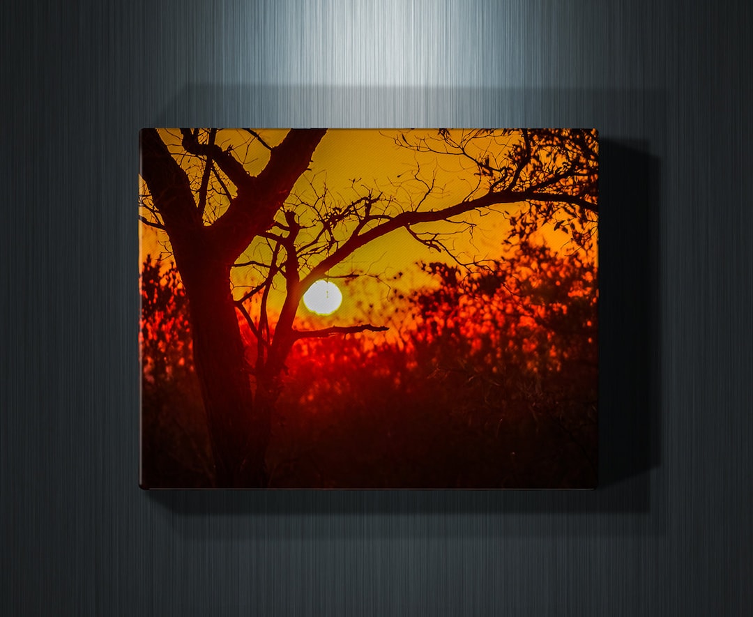 Sunrise Canvas Art, Sunrise Photography Canvas Wall Art, Sunrise Art ...