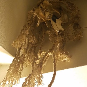Creature Skulls With Rope Hair - Etsy