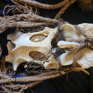 Creature Skulls With Rope Hair - Etsy