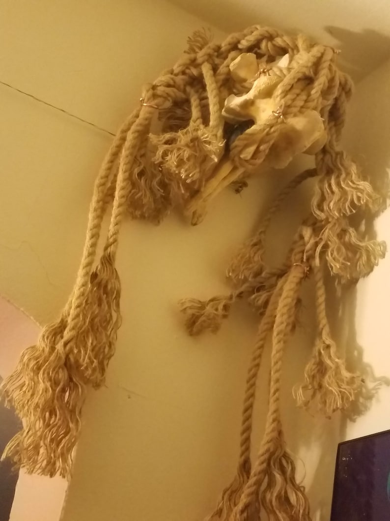 Creature Skulls With Rope Hair - Etsy