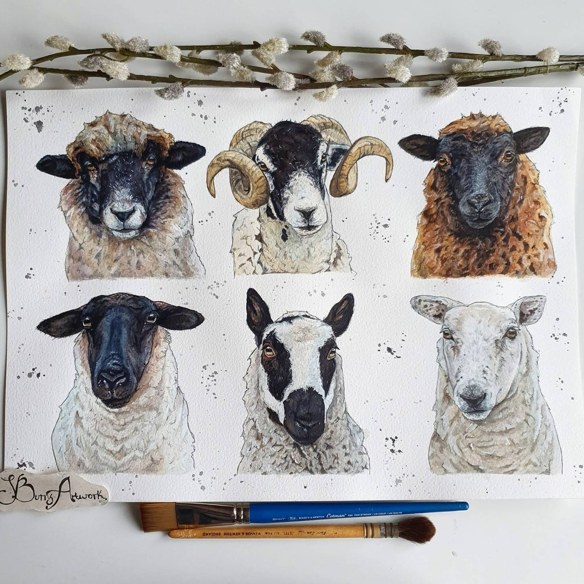 Original Watercolour Sheep Painting Sheep Breeds Flock of - Etsy