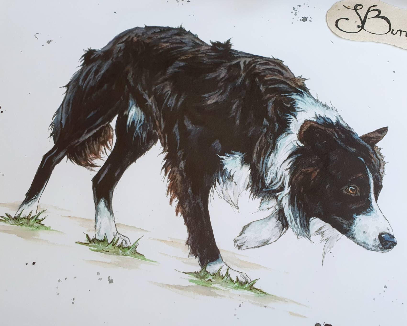 Working border collie print dog lover gifts cute dog decor | Etsy