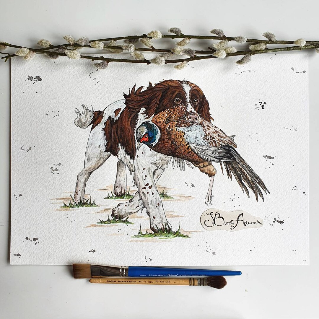 ORIGINAL Springer Spaniel Painting, English Springer Spaniel Print, Dog ...