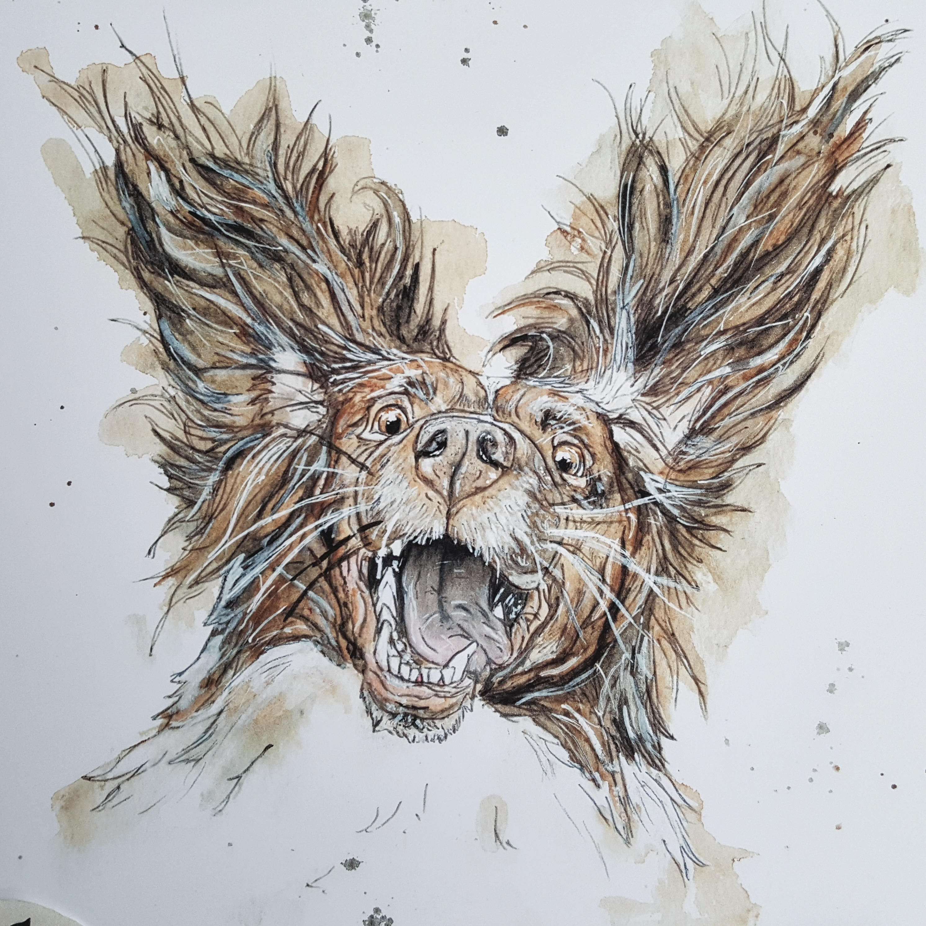 Springer Spaniel Print Springer Spaniel Crazy Dog Dog - Etsy UK