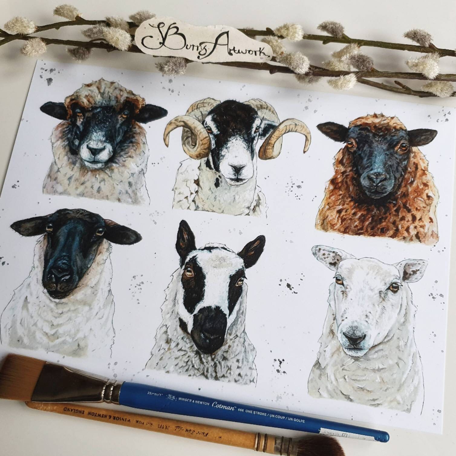 Sheep Art Print Sheep Breeds Sheep Lover Gifts Farmer Gift | Etsy UK