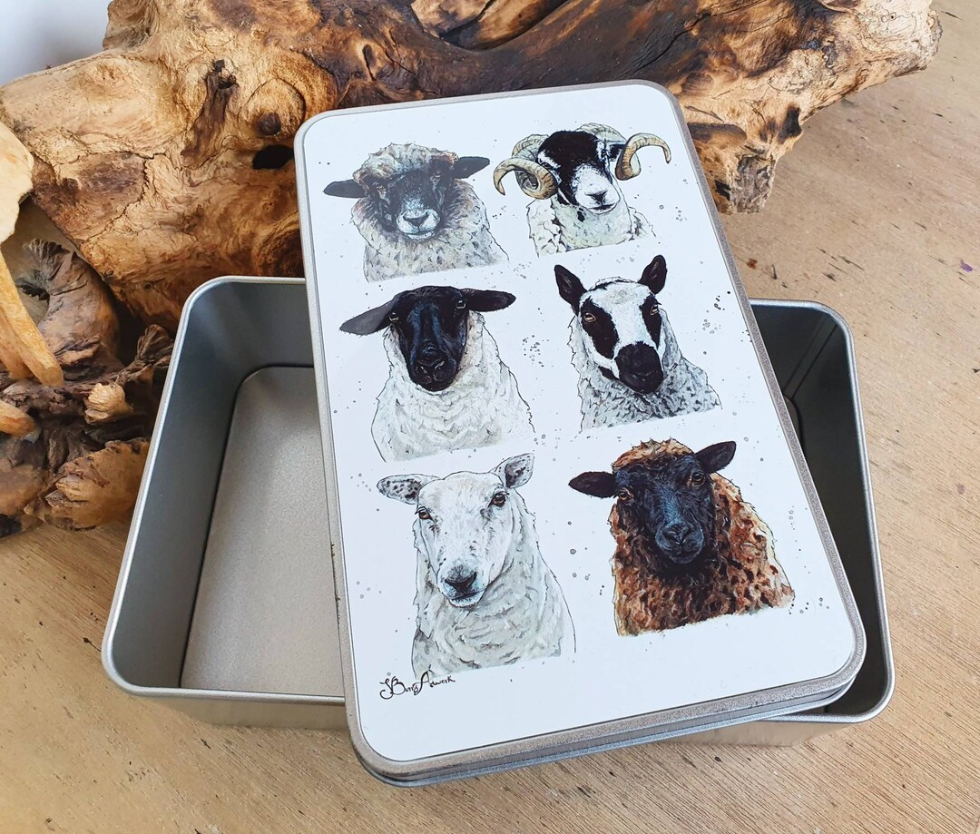 Sheep Storage Tin Metal Storage Box British Sheep Breeds - Etsy