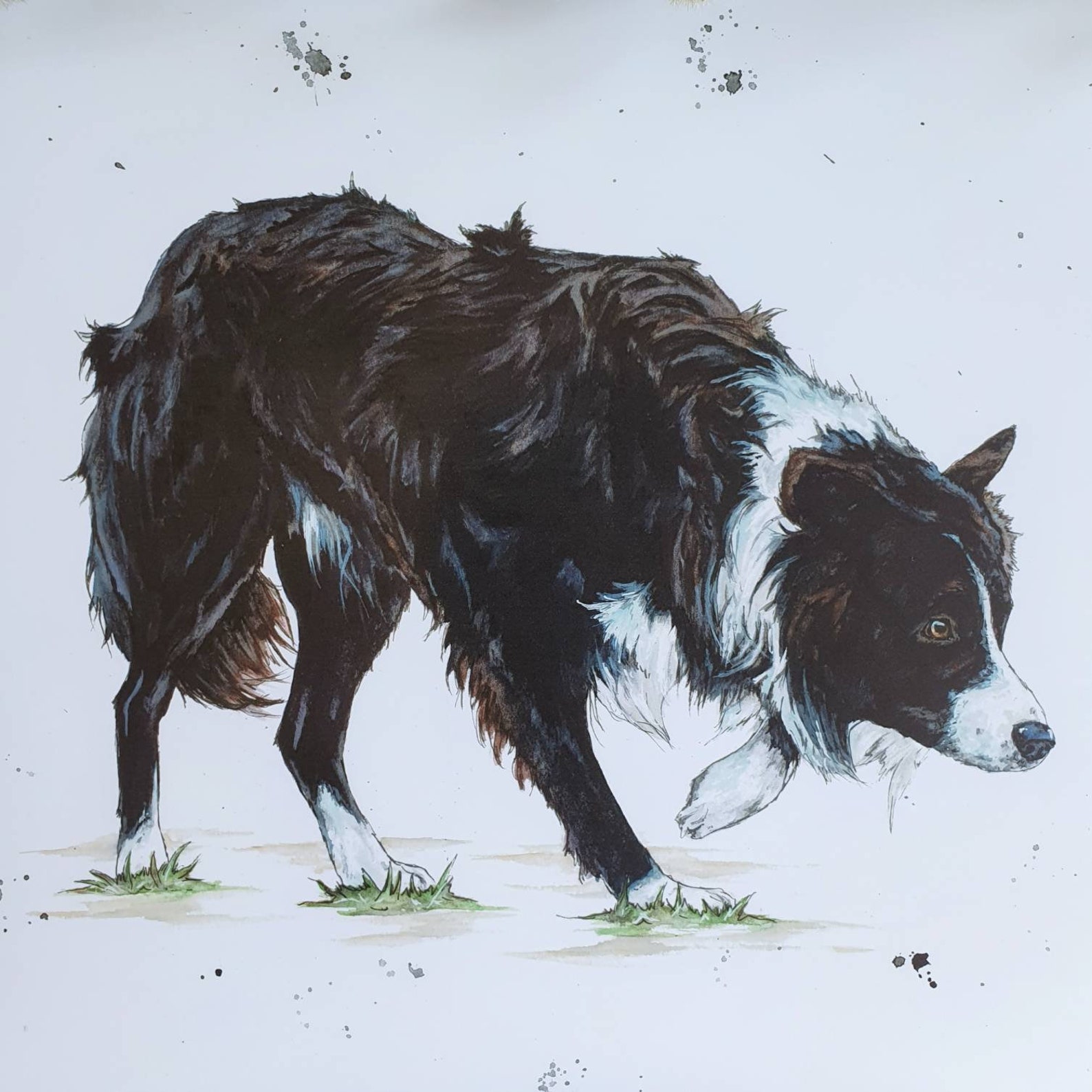 Working Border Collie Print Dog Lover Gifts Cute Dog Decor | Etsy