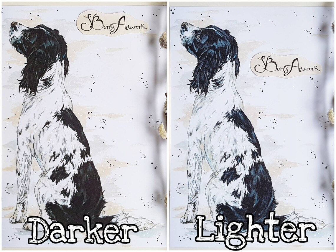 Springer Spaniel Print Dog Decor Cute Dog Print Pet - Etsy