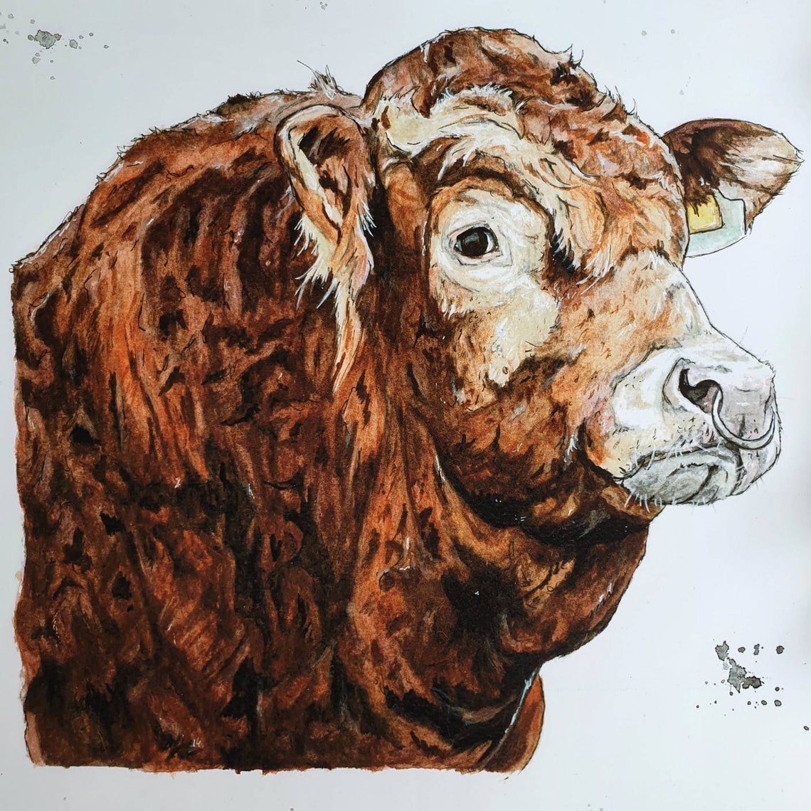 Limousin Bull Print Cow Lover Gift Farmhouse Decor Farmer - Etsy