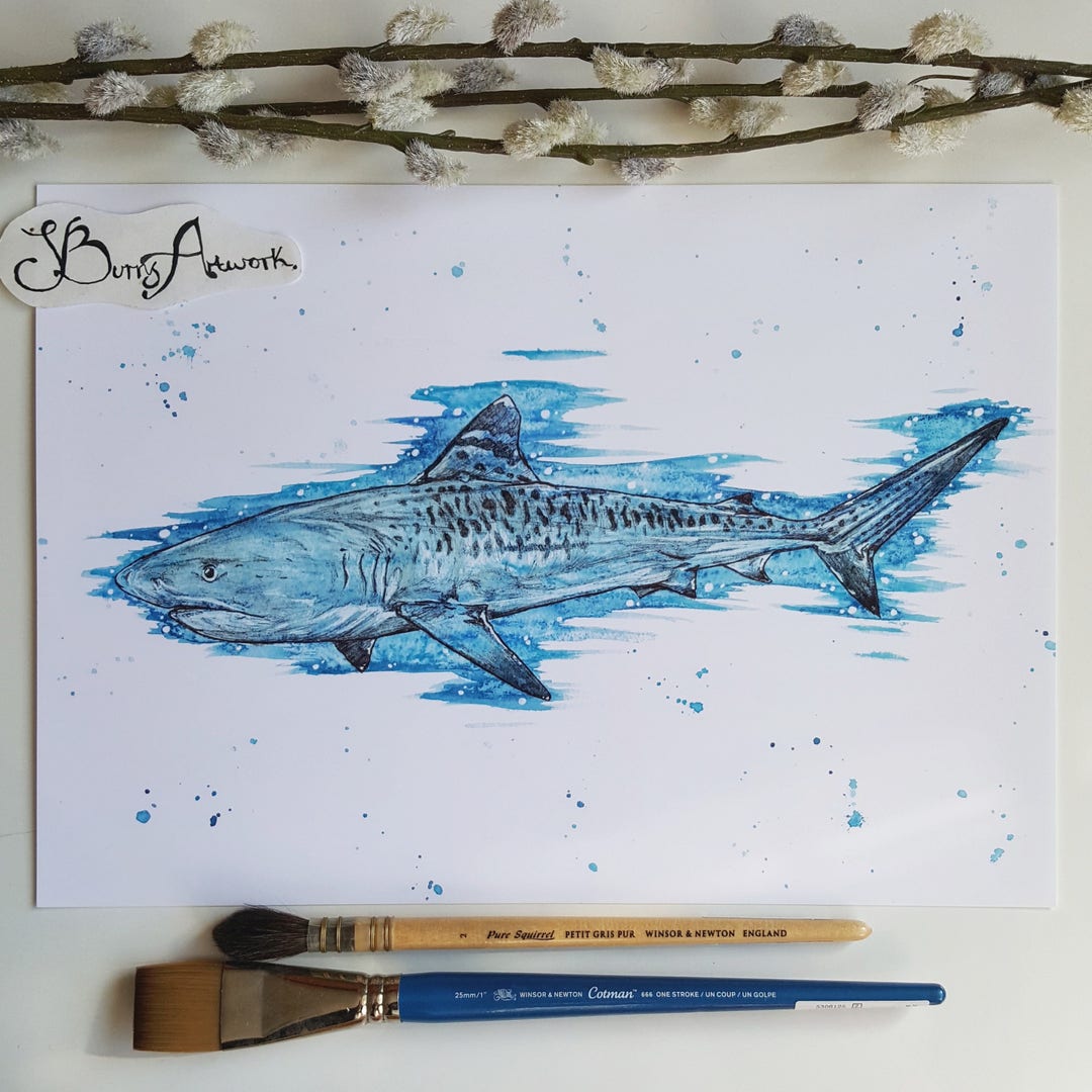 Tiger Shark Print, Shark Art, Shark Lover Gifts, Sealife, Sea Creatures ...