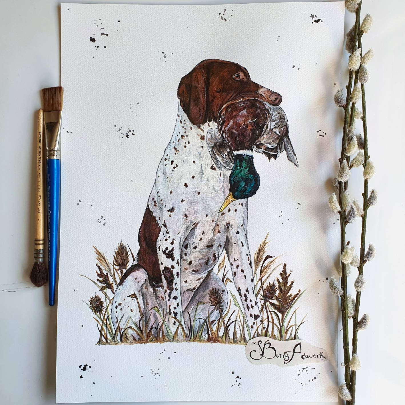 German Shorthair Paintings