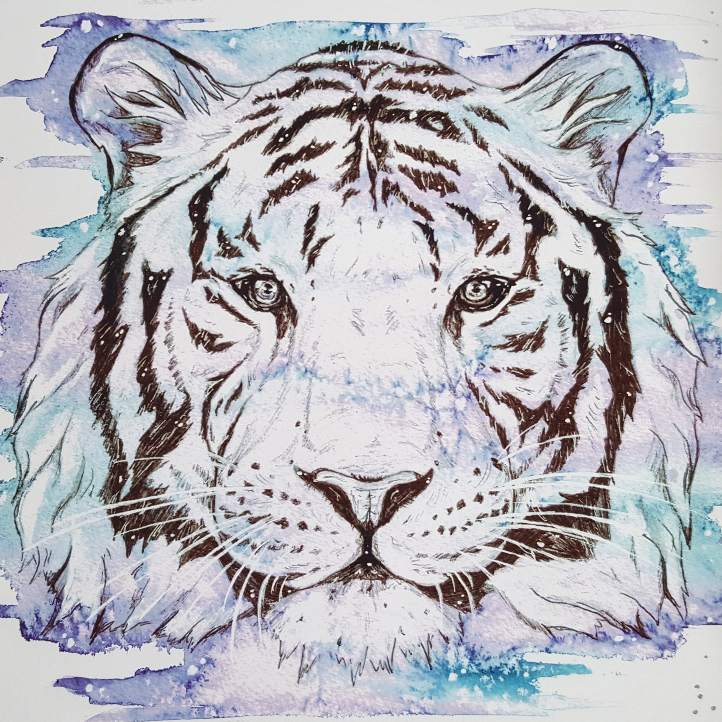 Tiger Tiger Head Jungle Animals Tiger Print Tiger Art - Etsy