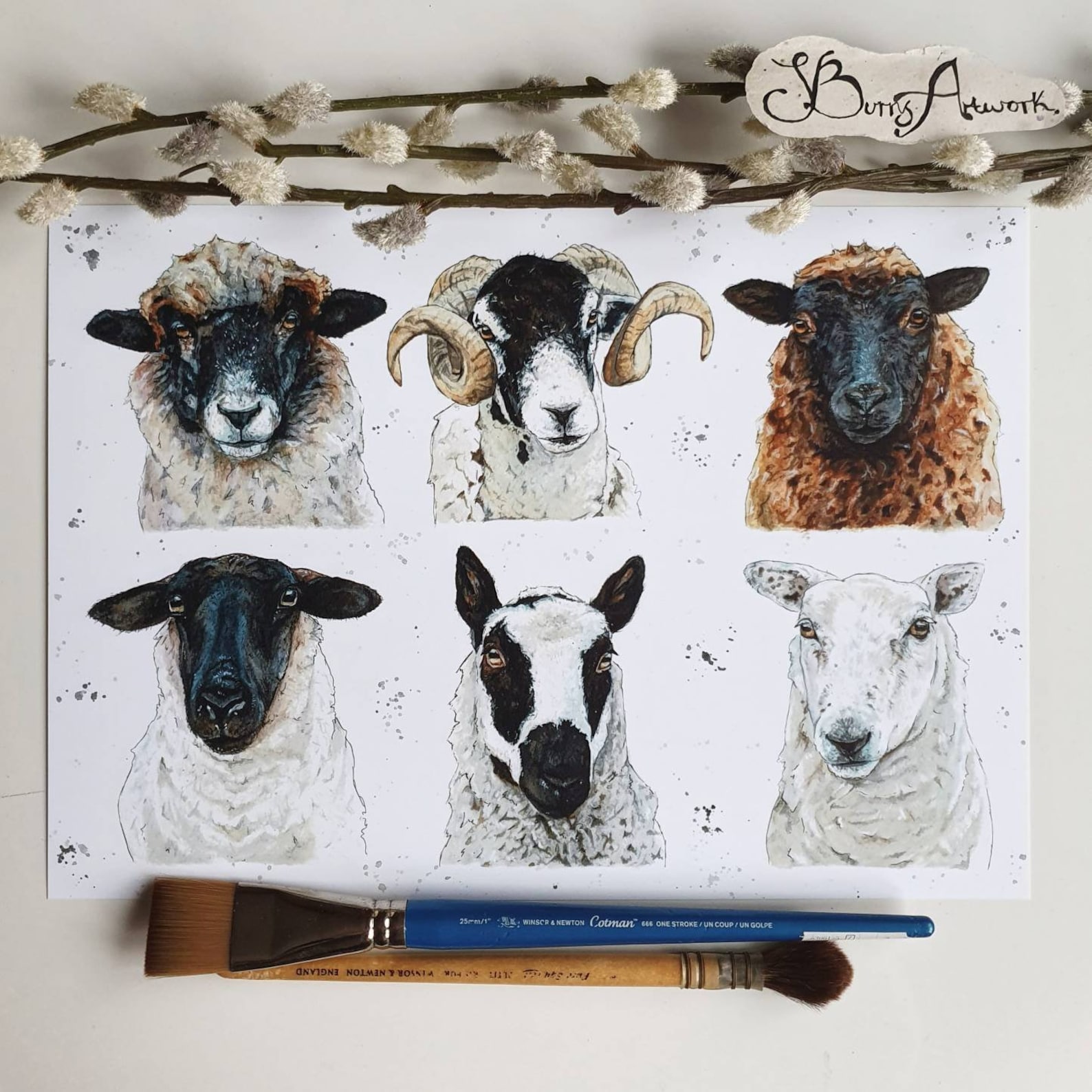 Sheep Art Print Sheep Breeds Sheep Lover Gifts Farmer Gift | Etsy UK