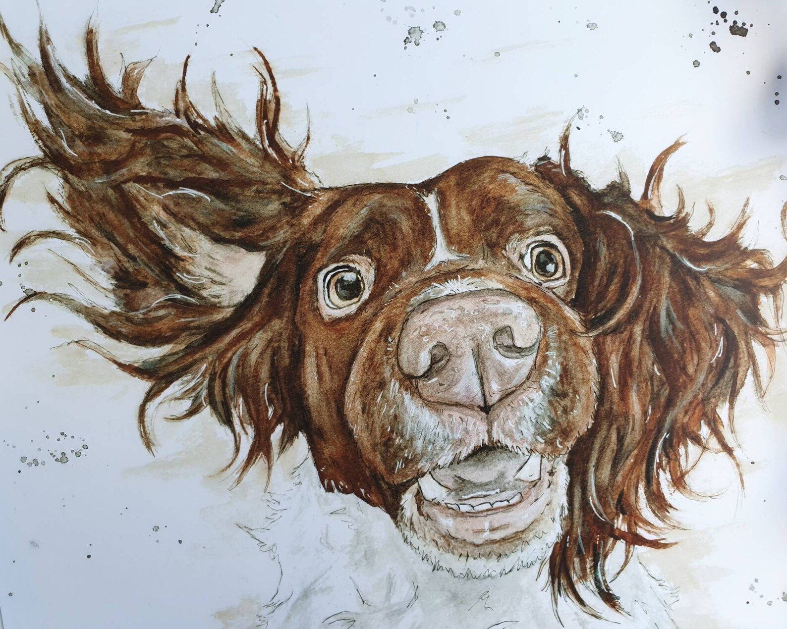 Springer Spaniel Art Print Cute Dog Print Springer Spaniel | Etsy