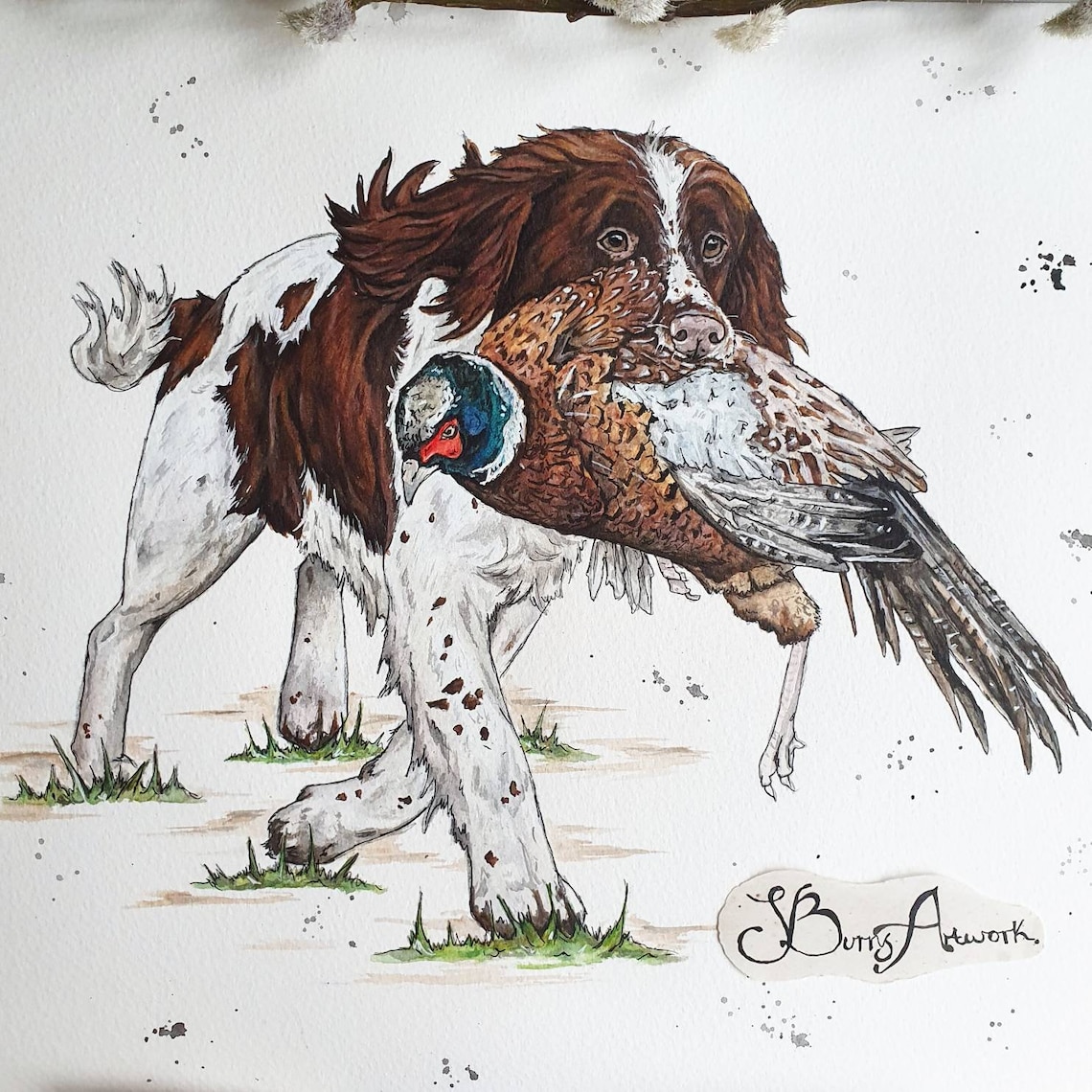 ORIGINAL Springer Spaniel Painting English Springer Spaniel - Etsy UK