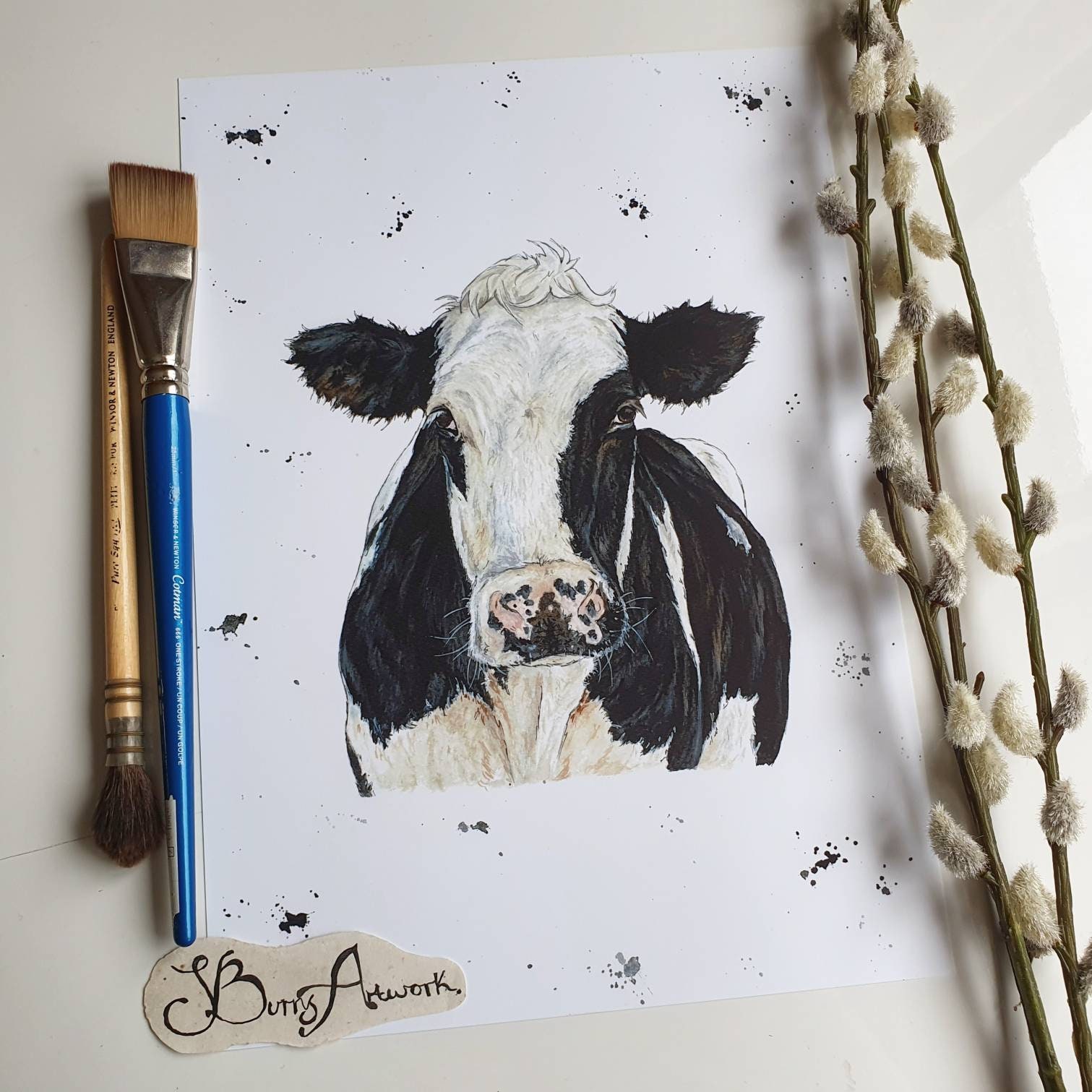 Holstein Dairy Cow Drawings