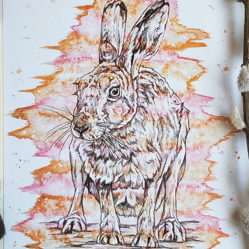 Watercolour Hare Print Rabbit Wall Art Nursery Bunny Rabbit | Etsy