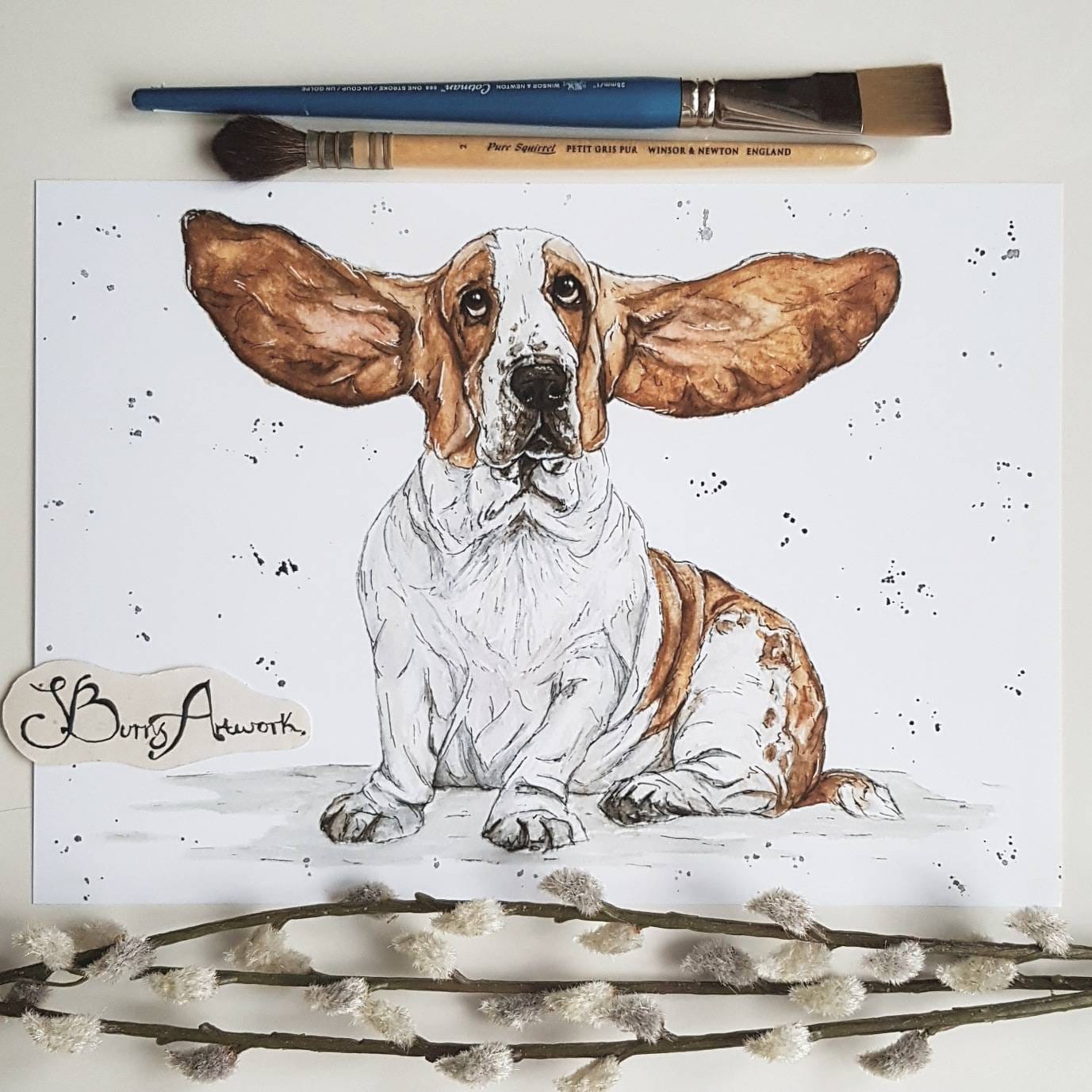 Bloodhound With Basset Hound