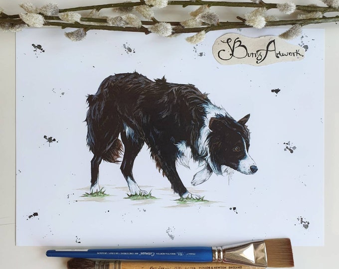 Working Border Collie Print, Dog Lover Gifts, Cute Dog Decor, Collie ...