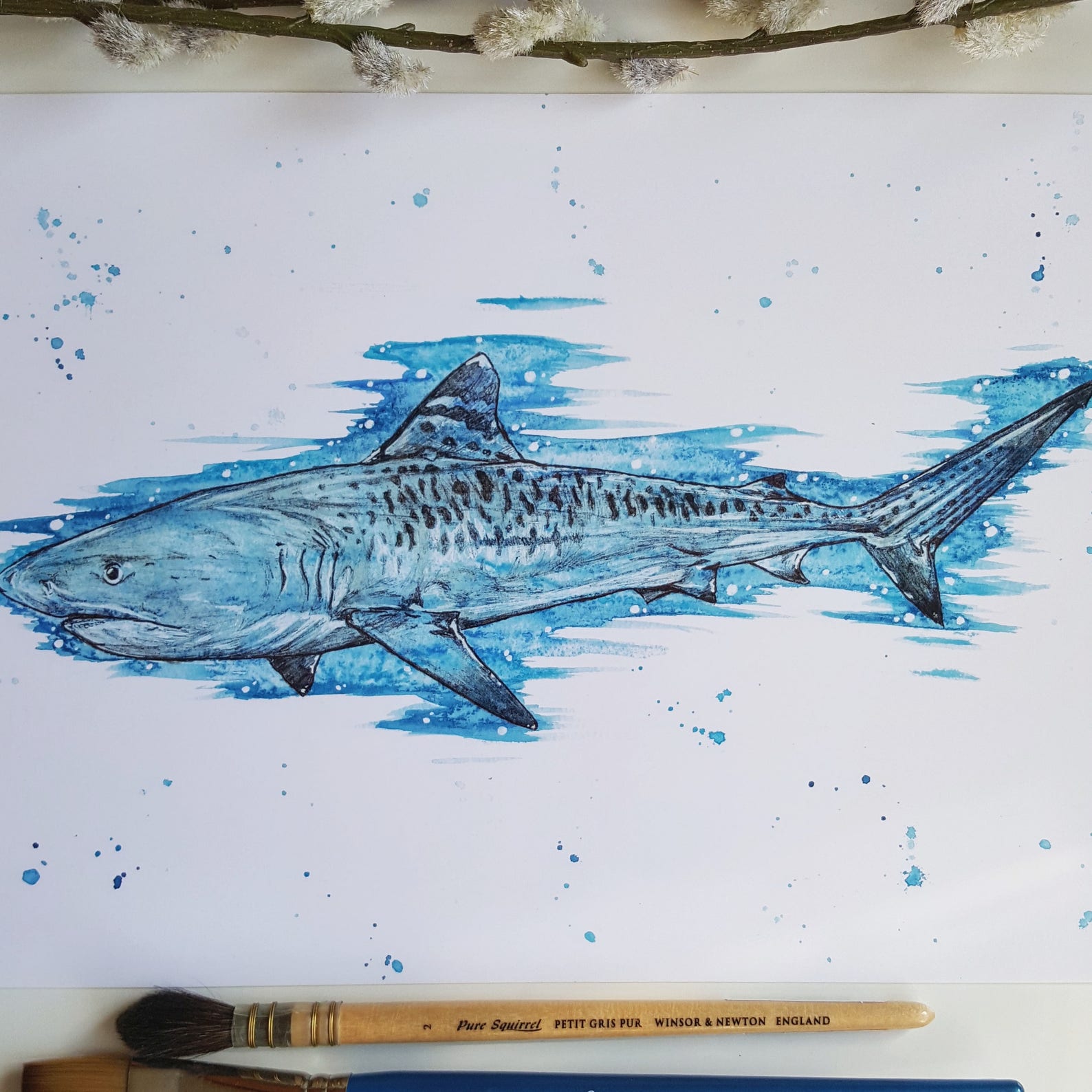 Tiger Shark Print Shark Art Shark Lover Gifts Sealife Sea | Etsy