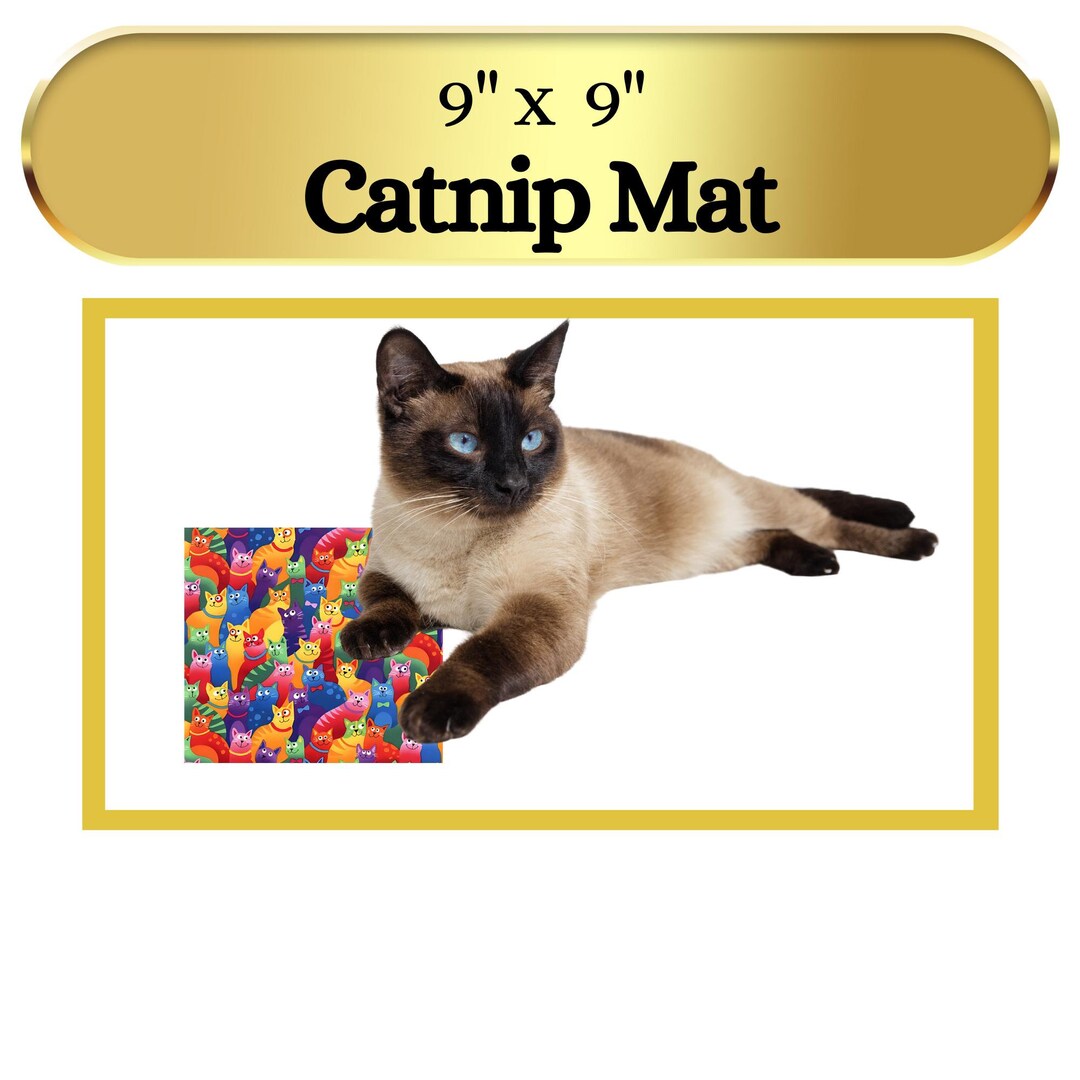 9 X 9 Catnip Mat-all Natural Catnip-cats-cat Toy-gifts for Pets-cat ...