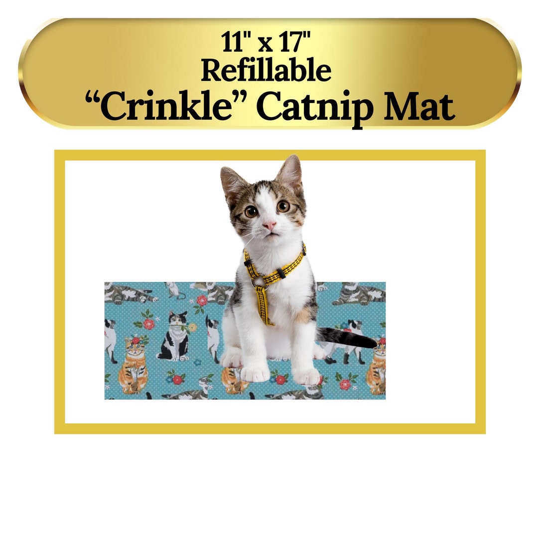 11x17 Crinkle Catnip Cat Blanket Natural Catnip Toy and Cat Mat for Cats Pet Supplies - Etsy