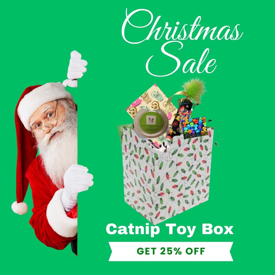 Christmas Cat Box-catnip Box Cat Toys and Gifts for Cat Lovers Catnip ...