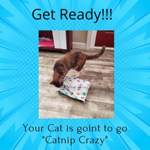 17 X 17 Crinkle Catnip Blanket, Cats, Cat Toy, Natural Catnip, Catnip Toys, Gifts for Pets, Cat ...