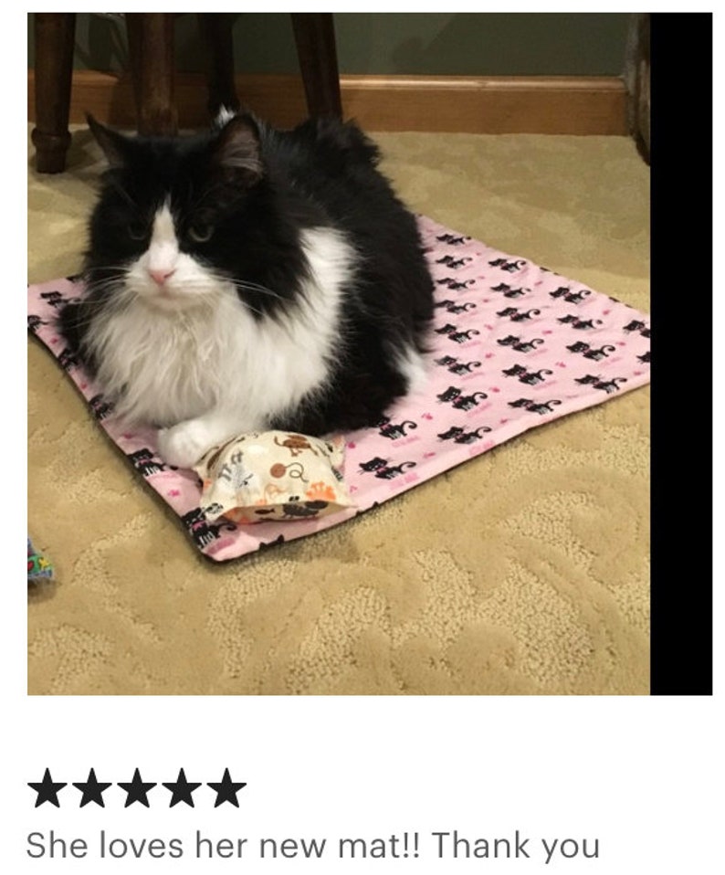 Crinkle Catnip Mat Refillable Cat Mat Cat Bed Kitty Bed | Etsy Crinkle Catnip Mat Refillable Cat Mat Cat Bed Kitty Bed | Etsy