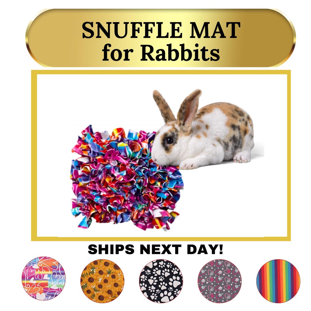 Rabbit Snuffle Mat - Interactive Enrichment Game for Rabbit and Guinea ...