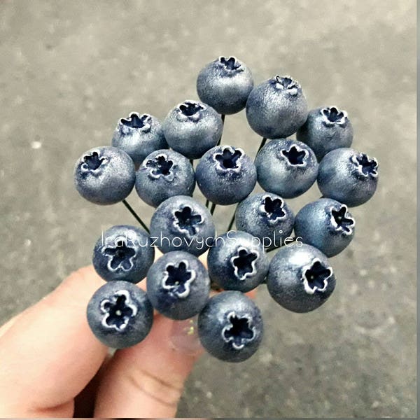 Blueberry Decor - Etsy