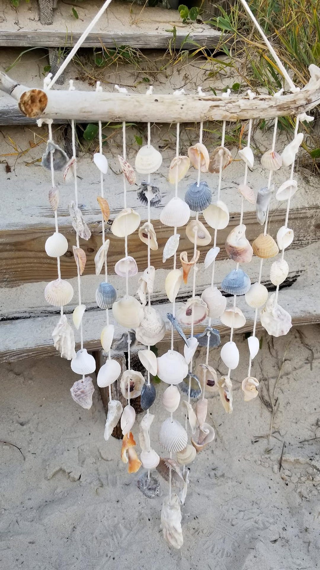 Wind Chime, Shell Wind Chime, Shell Chime, Driftwood Wind Chime ...