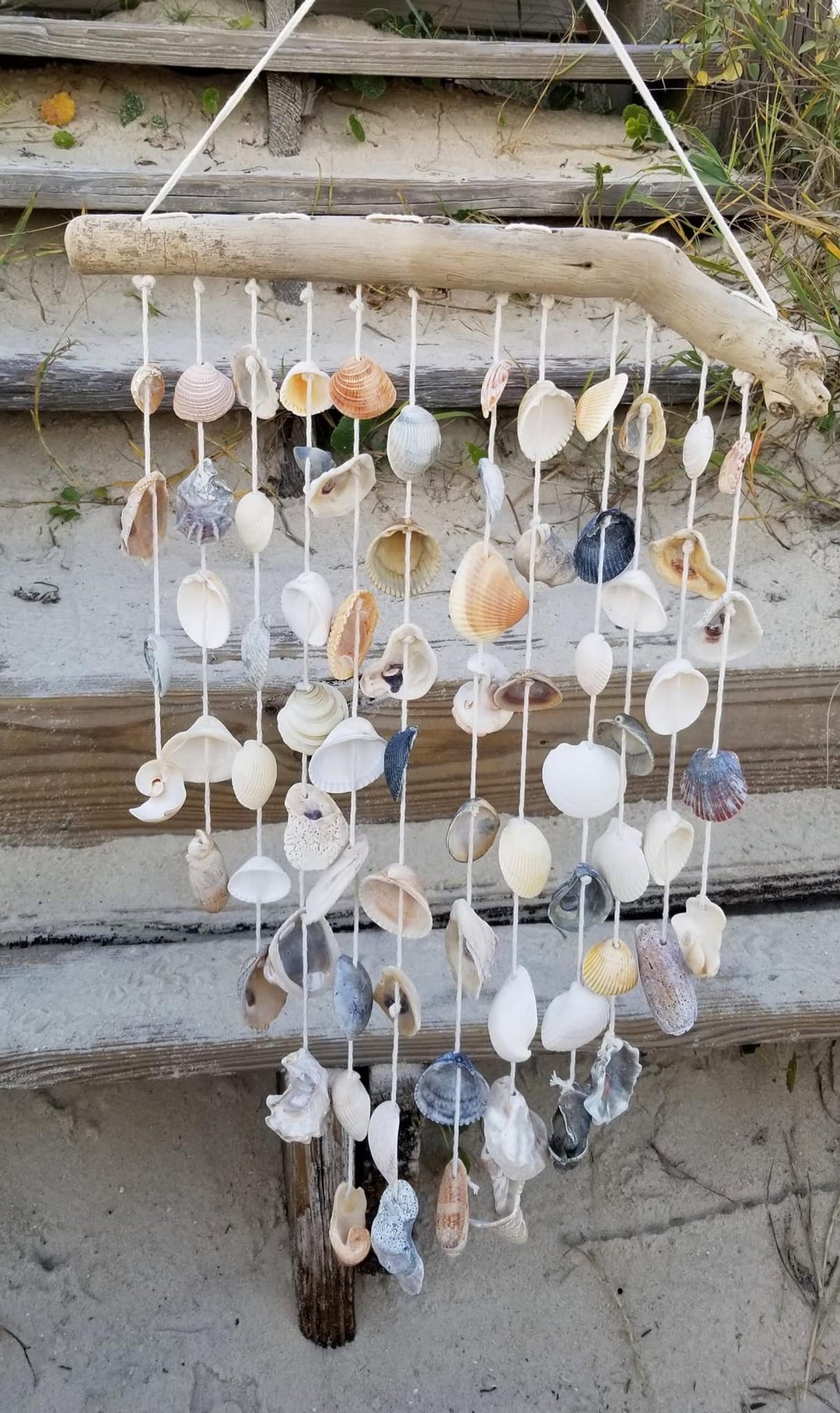 Wind Chime, Shell Wind Chime, Shell Chime, Driftwood Wind Chime ...