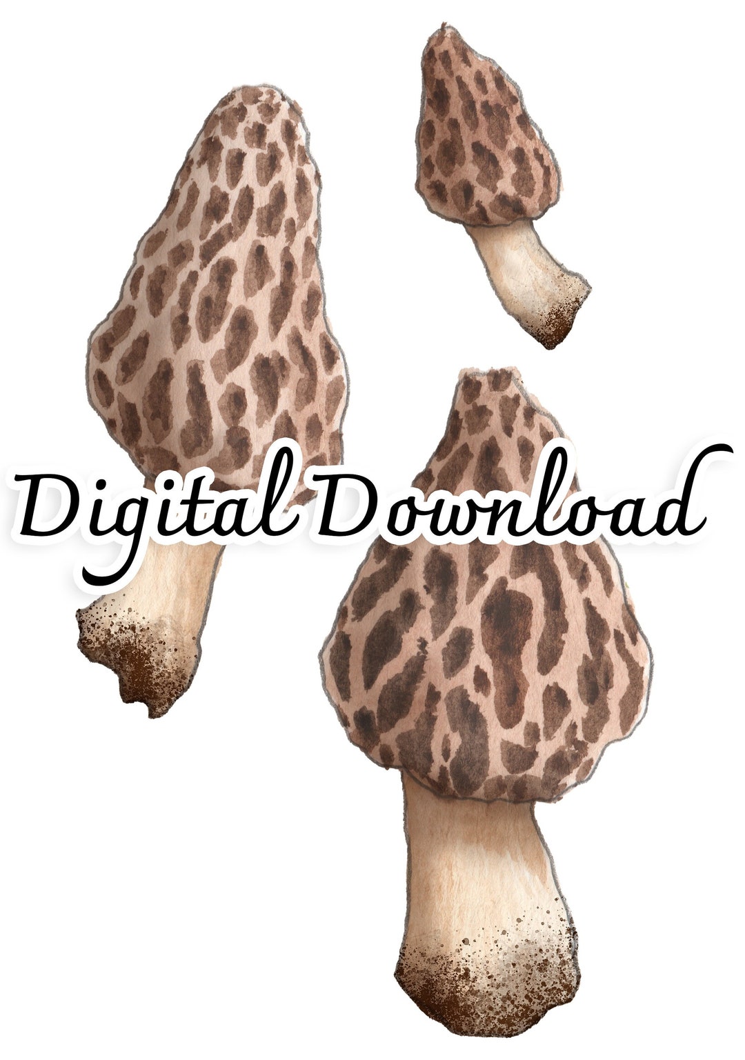 Printable Digital Download: Handpainted Morel Mushrooms, Group of Three ...