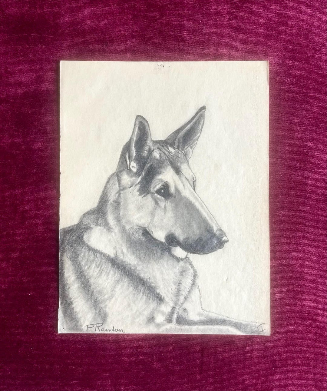 1940s French Charcoal Drawing on Paper. German Shepherd. Alsatian ...