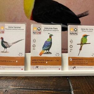 Wingspan nesting Box Board Game Insert Fits Sleeved Cards & - Etsy