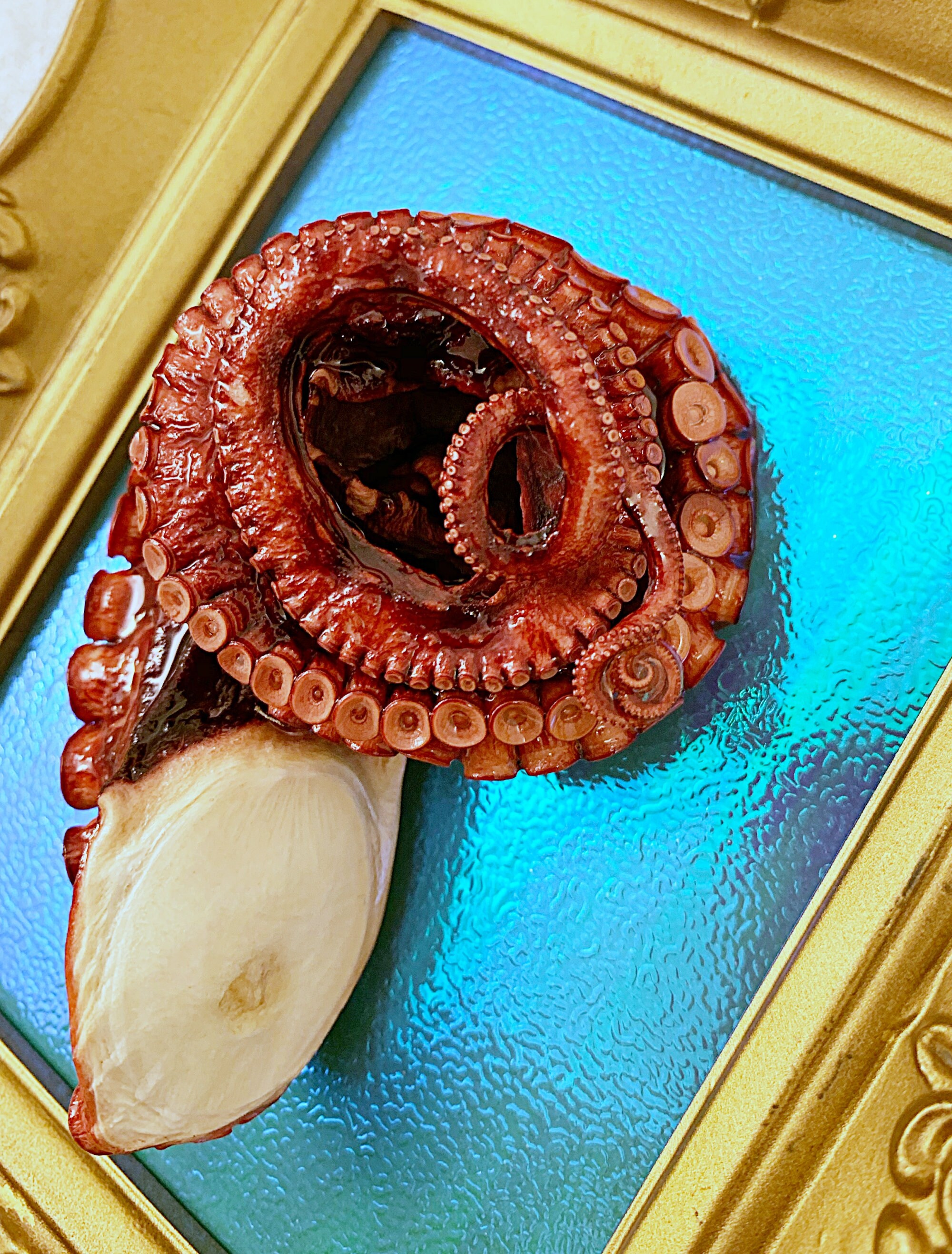 Preserved Octopus Tentacle - Vintage Frame - Iridescent Turquoise ...