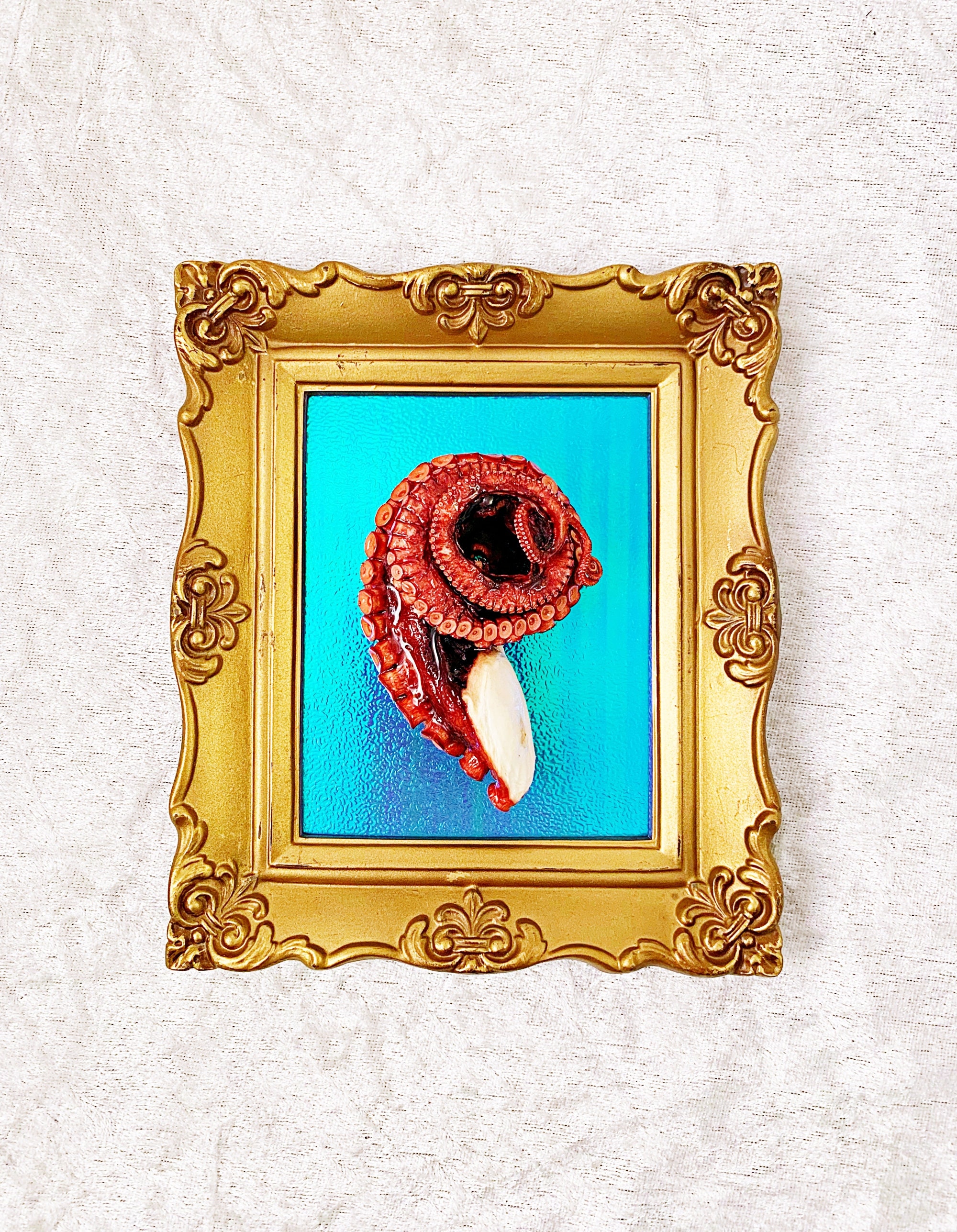 Preserved Octopus Tentacle - Vintage Frame - Iridescent Turquoise ...