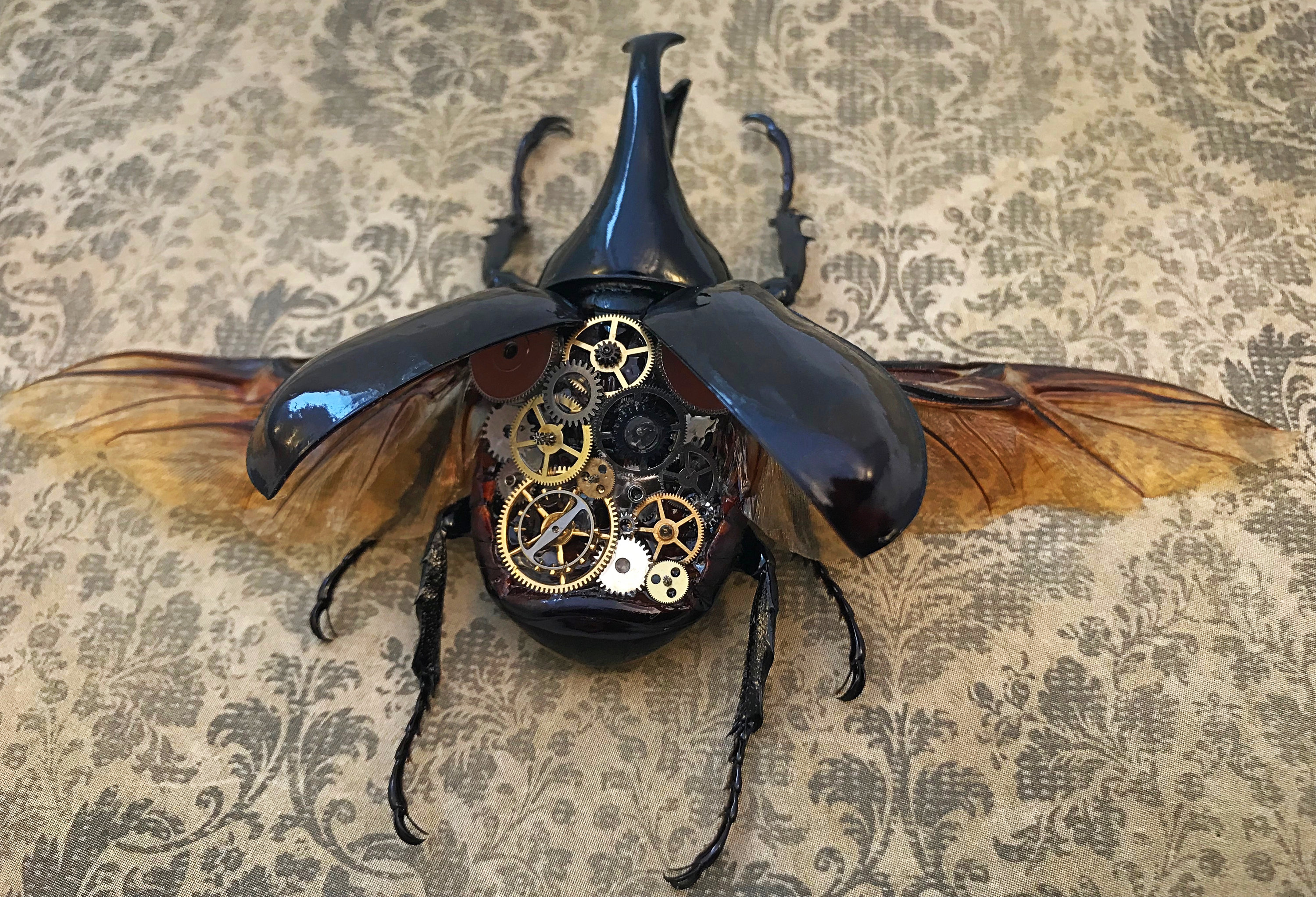 Steampunk Clockwork Rhino Beetle