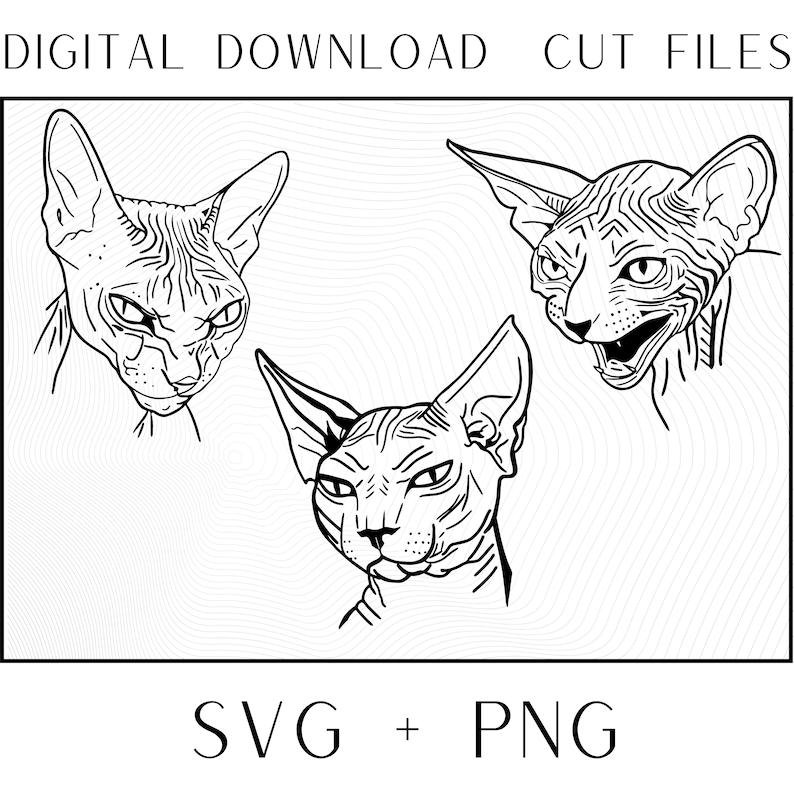 Angry Sphinx Cat Heads - SVG PNG, Cut Files, 3 Different Cat Faces, 6 File Bundle - Etsy