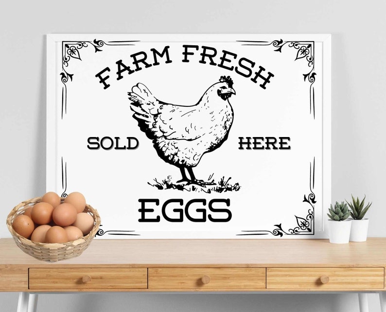 Farm Fresh Eggs PNG Digital Download Farm Fresh Eggs Sign - Etsy