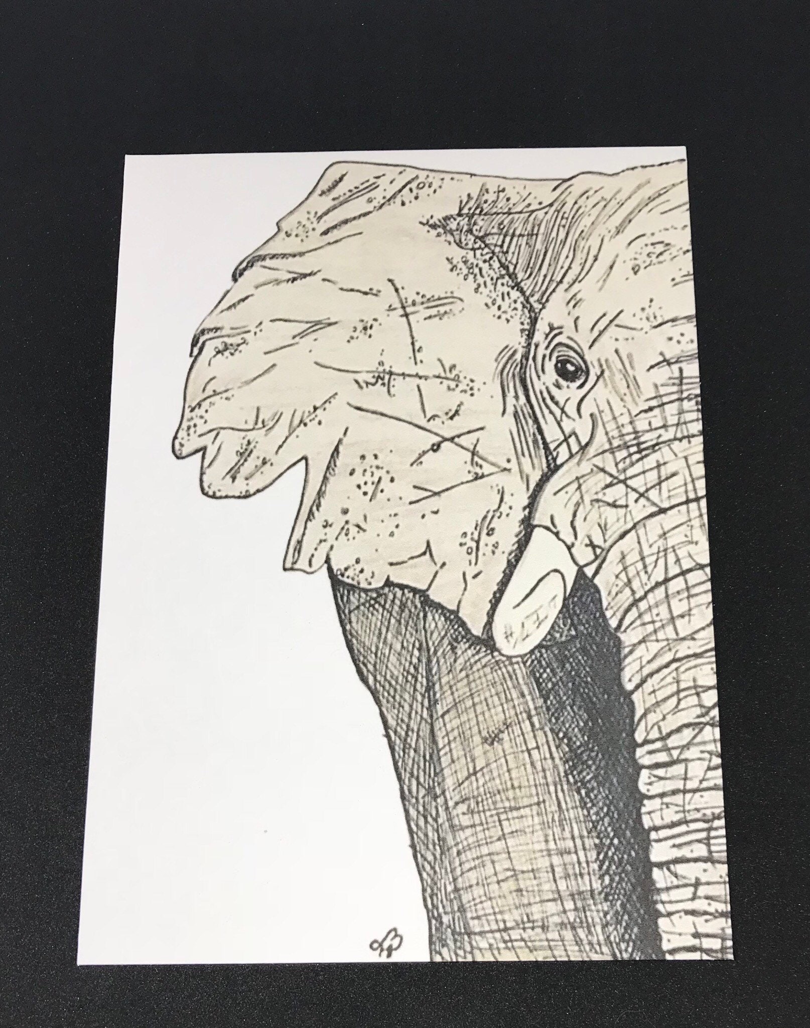 5x7 Elephant Half Face Print - Etsy